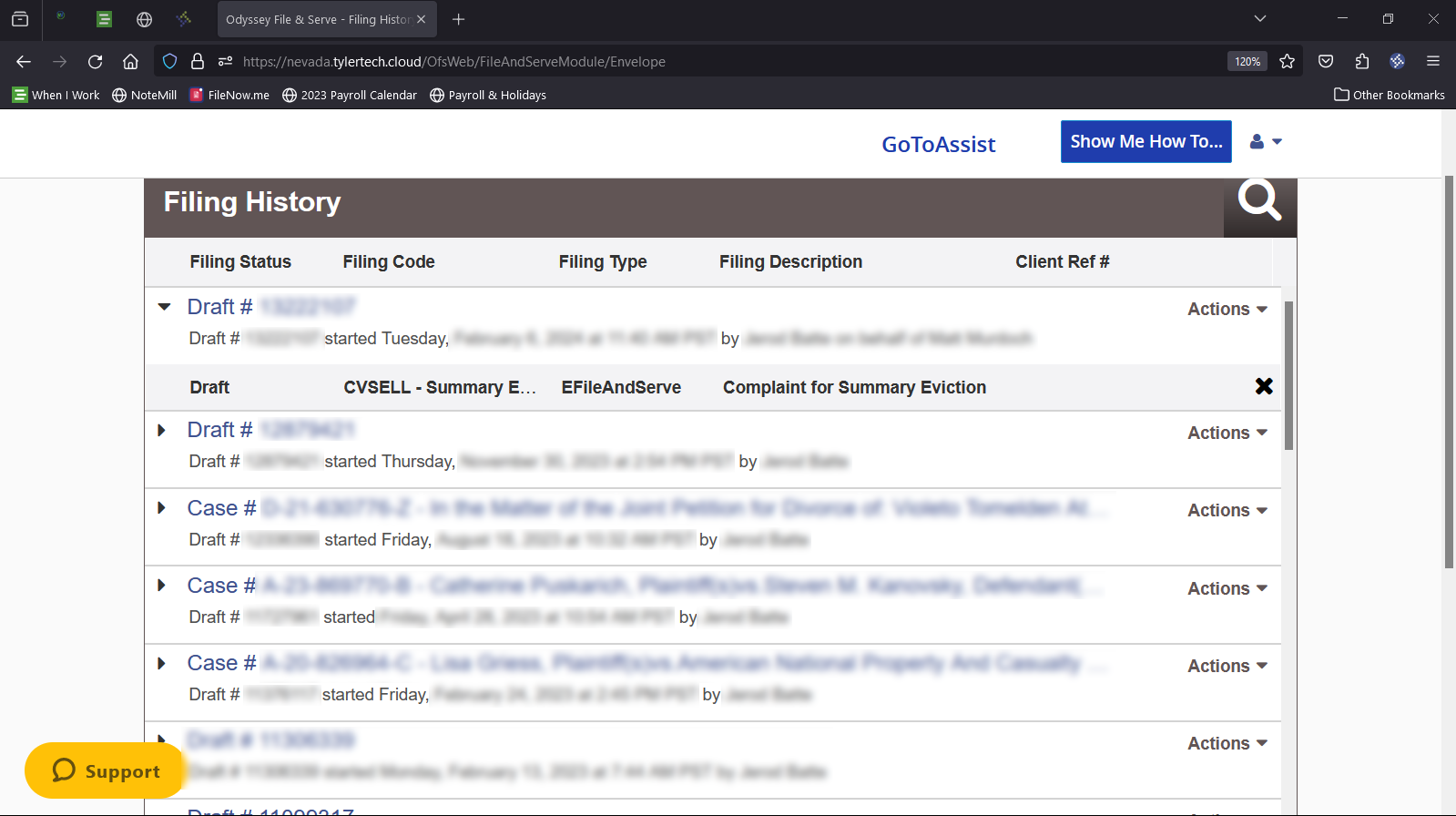 I Can't See Every Option I'm Supposed To See on My Screen (Maximize Browser Window) – eFile